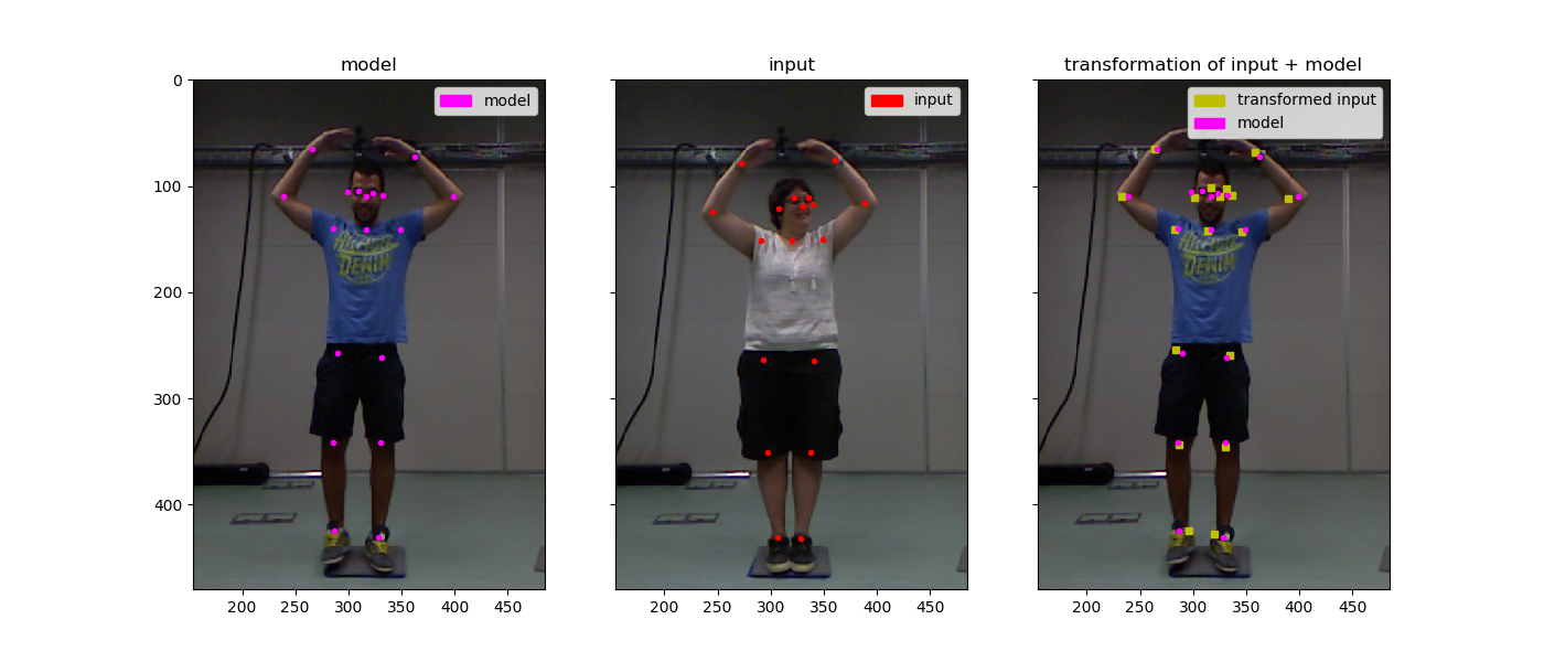 Human Pose Matching | Timothy Callemein
